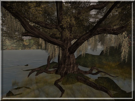 Second Life Marketplace - ~*SR*~ Ancient Gothic Swamp Tree c/m Box
