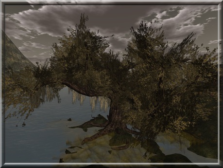 Second Life Marketplace - ~*SR*~ Ancient Gothic Swamp Tree c/m Box