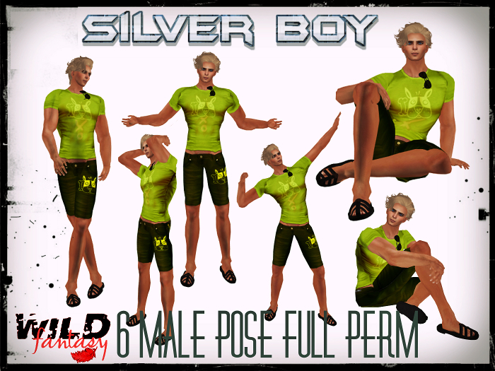 Second Life Marketplace - Silver Boy Pose