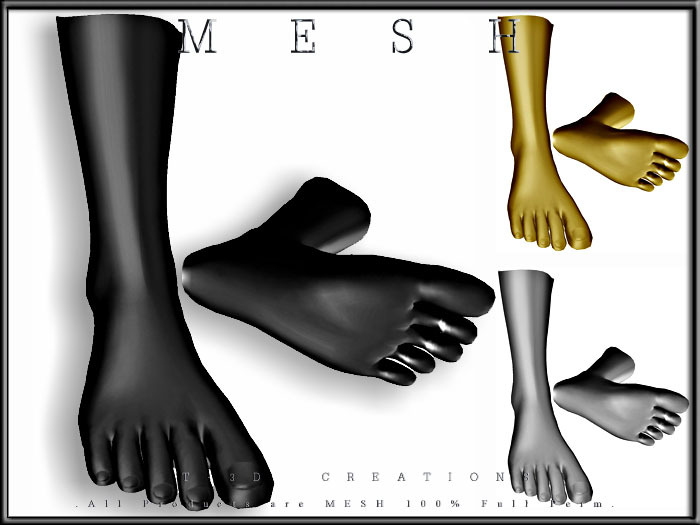 Second Life Marketplace - T-3D Creations [ Male Foot Display ] Regular ...