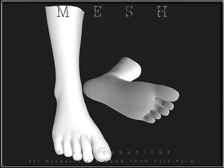 Second Life Marketplace - T-3D Creations [ Male Foot Display ] Regular ...