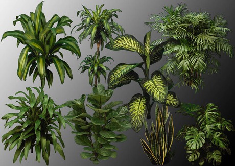 Second Life Marketplace - 10x textures of plants