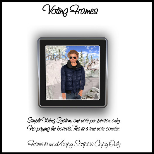 Second Life Marketplace - RL Voting System Frames BOXED