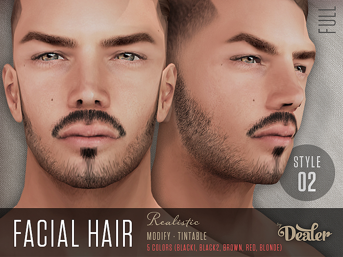 Second Life Marketplace - ::DEALER:: FacialHair BEARD 02 (FULL)