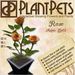 Second Life Marketplace - PlantPet Seed [Rose *Aztec Gold*] Common