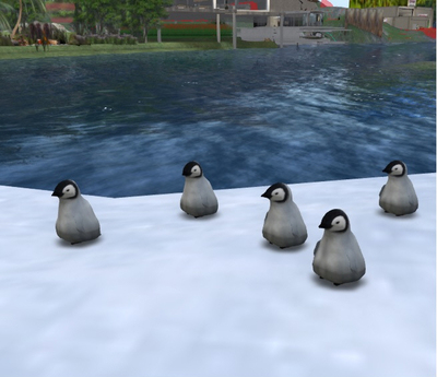 Second Life Marketplace - Emperor Penguin