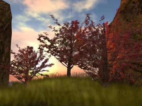 Second Life Marketplace - One Prim sculpted Autumn Trees
