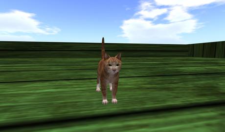 Second Life Marketplace - Cat - Mesh