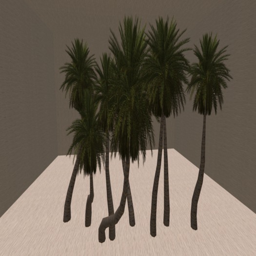 Second Life Marketplace - RG TREE PALM 8 DATE V1 15X15X10 C