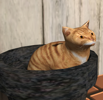 Second Life Marketplace - !MD - Shelves game