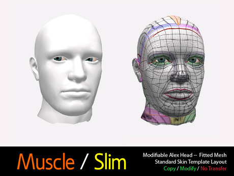 Second Life Marketplace - Modifiable Alex Head--Fitted Mesh