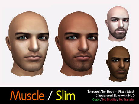 Second Life Marketplace - Textured Alex Head--Fitted Mesh