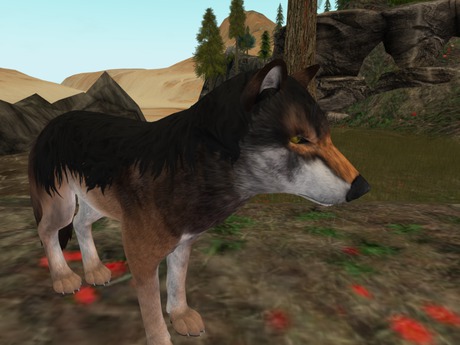 Second Life Marketplace - Scruffy Matted Back for TWI MESH Wolf