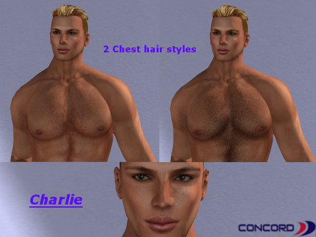 Second Life Marketplace - ::::CONCORD:::: Charlie skins and MOD shape DEMO