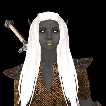 Second Life Marketplace - Drow Knight in Bronze - TFF
