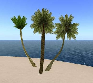 Second Life Marketplace - [HOT] Palm Tree Element Textures