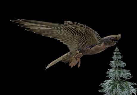 Second Life Marketplace - Circling Falcon (Animated)