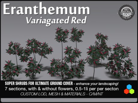 Second Life Marketplace - Eranthemum Variageted Bushes Red- Mesh ...