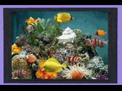 Second Life Marketplace - Aquarium - Yellow Sea