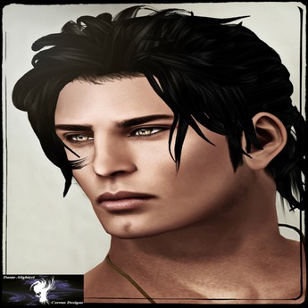 Second Life Marketplace - TMP Mesh Body Logan Shape