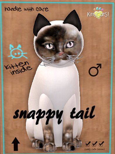 Second Life Marketplace - KittyCatS Box - ♂ M 7T Siamese Chocolate ...