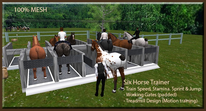Second Life Marketplace - Six Horse Trainer (ABC Horses) - Distressed ...