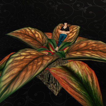Second Life Marketplace - ~tc~ CP Mesh Deep Forest Gathering - Autumn