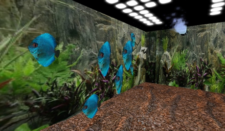 Second Life Marketplace - Discus Blue - fully animated sculpted free ...