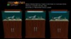 Second Life Marketplace - AP - Changing 3 Critter Reptile Tank