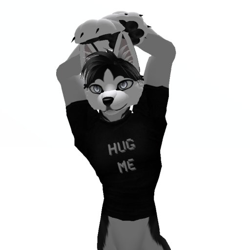 Second Life Marketplace - Furry T-Shirt Hug me