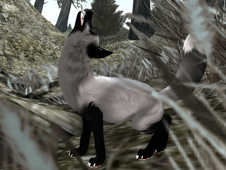Second Life Marketplace - Red Remora - Fox Avatar