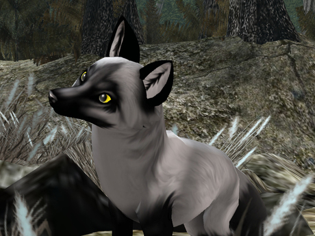 Second Life Marketplace - Red Remora - Fox Avatar