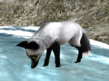 Second Life Marketplace - Red Remora - Fox Avatar