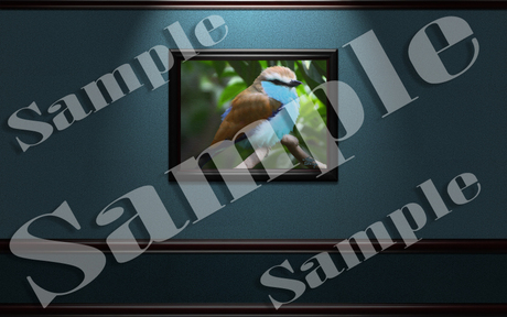 Second Life Marketplace - Desibo!™ Allports Blue Wall Textures & Murals