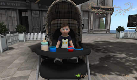 Second Life Marketplace - Neverland - Prim Baby Stroller - Fendi Buggy