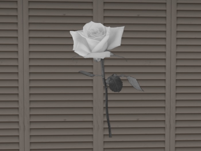 Second Life Marketplace - Gothic White Rose