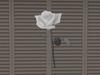 Second Life Marketplace - Gothic White Rose