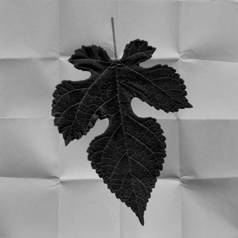 Second Life Marketplace - [Kou!] Tree