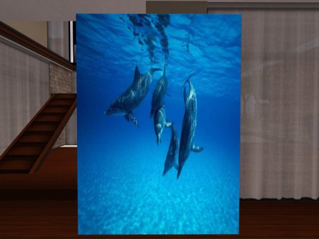 Second Life Marketplace - Dolphin Poster