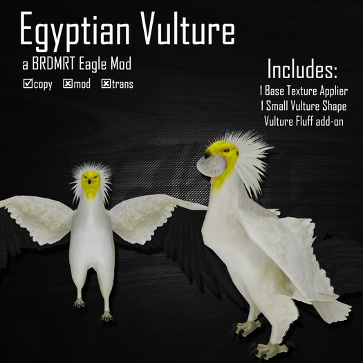 Second Life Marketplace - BRDMRT Eagle Mod - Egyptian Vulture