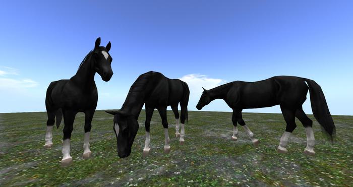 Second Life Marketplace - Horse static with/without sound ~ mesh