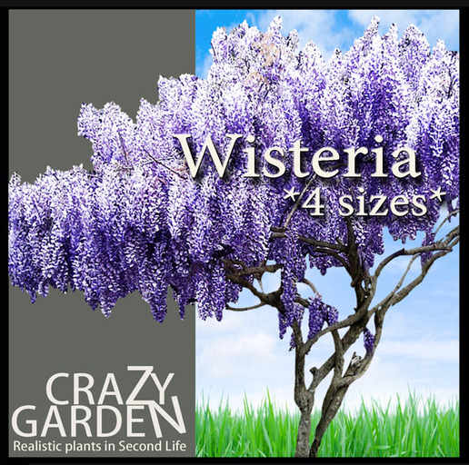 Second Life Marketplace - Wisteria Tree *4 sizes copy/mod* low prims