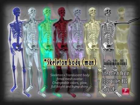 Second Life Marketplace - SKELETON BODY (man) ★ Fitted Mesh Avatar ...