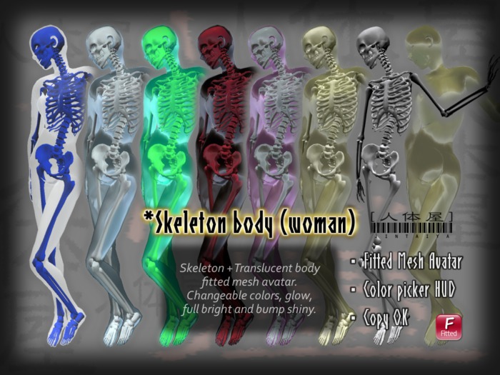 Second Life Marketplace - SKELETON BODY (woman) ★ Fitted Mesh Avatar ...
