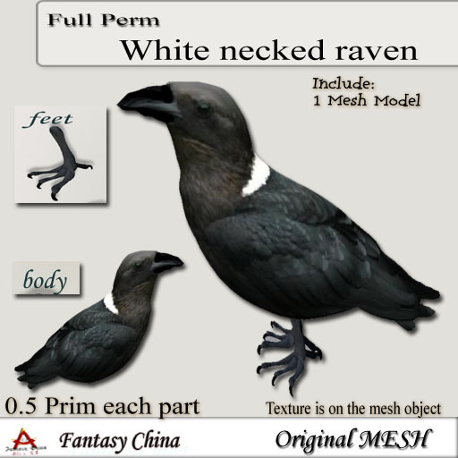 Second Life Marketplace - Fantasy China Mesh White necked raven 0.5 ...