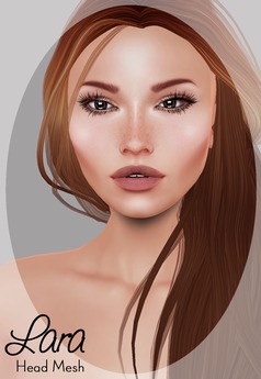 Second Life Marketplace - {bambi} Skin - Lara + Head Mesh (HUD)