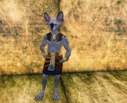 Second Life Marketplace - Zef's Grey Male Sphynx Cat Avatar with Mesh ...