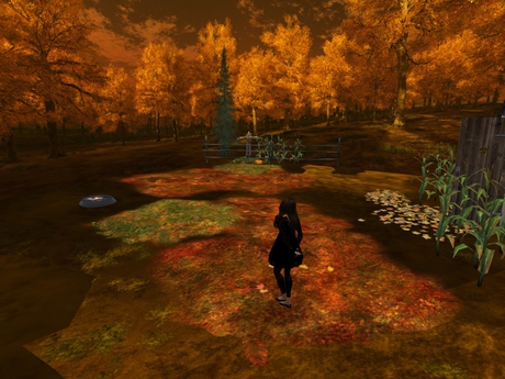 Second Life Marketplace - Beautiful Fall Autumn Skybox(crate)