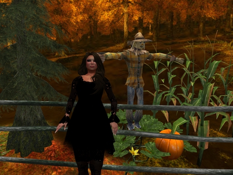Second Life Marketplace - Beautiful Fall Autumn Skybox(crate)