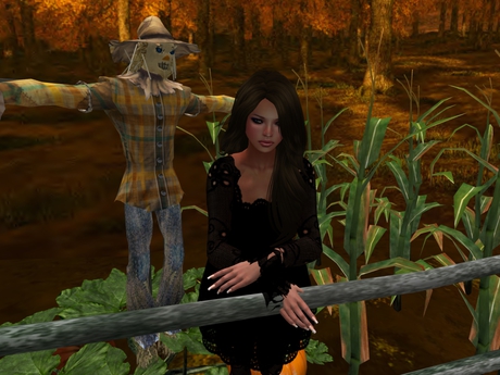 Second Life Marketplace - Beautiful Fall Autumn Skybox(crate)